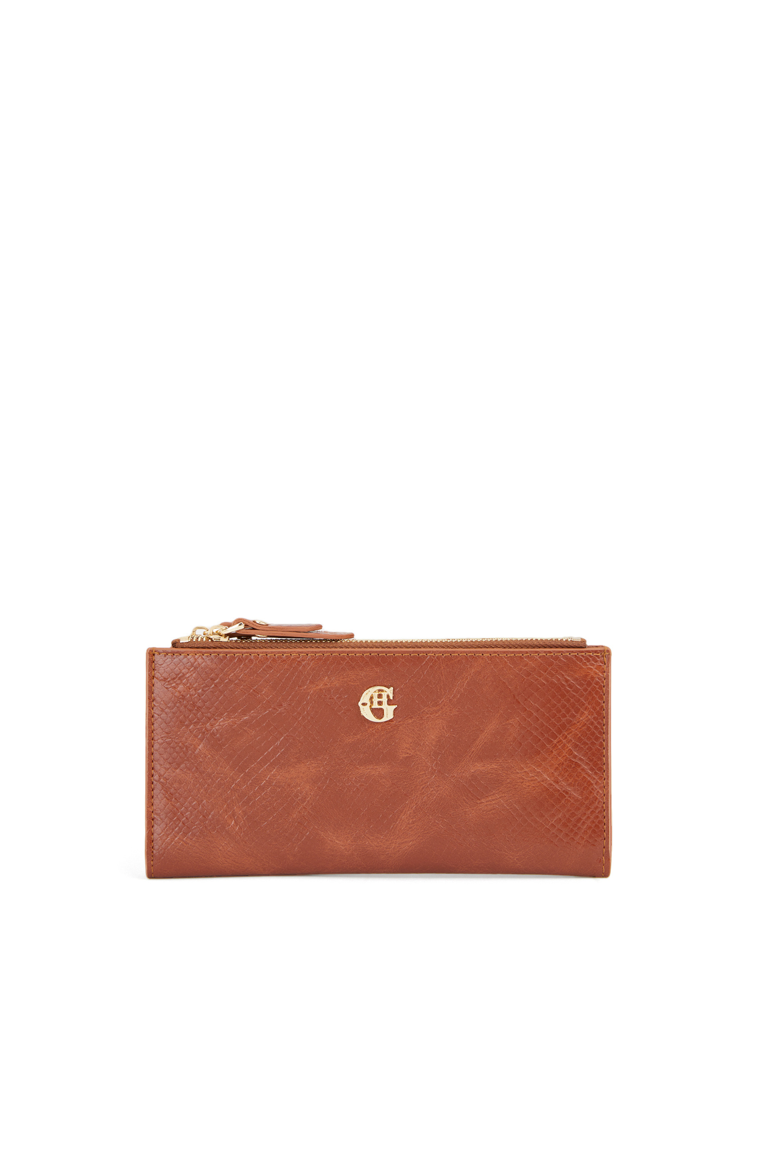 Kahverengi Kadın Portföy